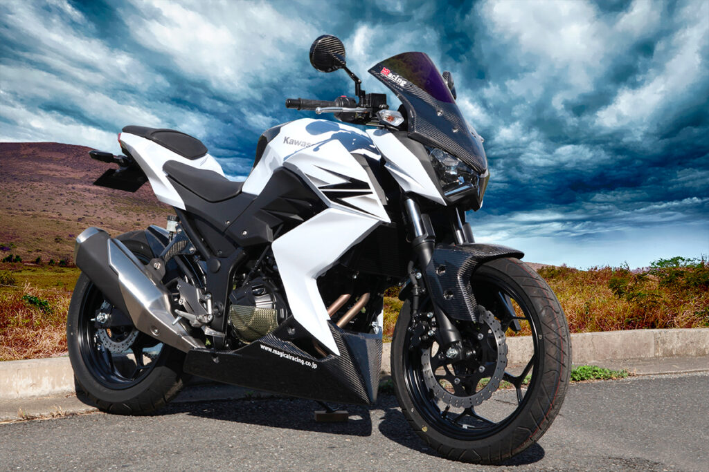 2013-2018 Z250R - MagicalRacing